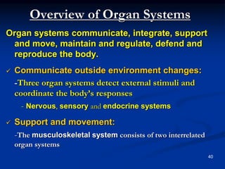 5..Tissue and Organ System pptx | PPTX