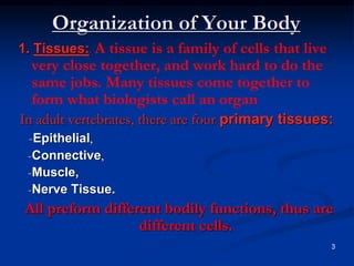 5..Tissue and Organ System pptx | PPTX