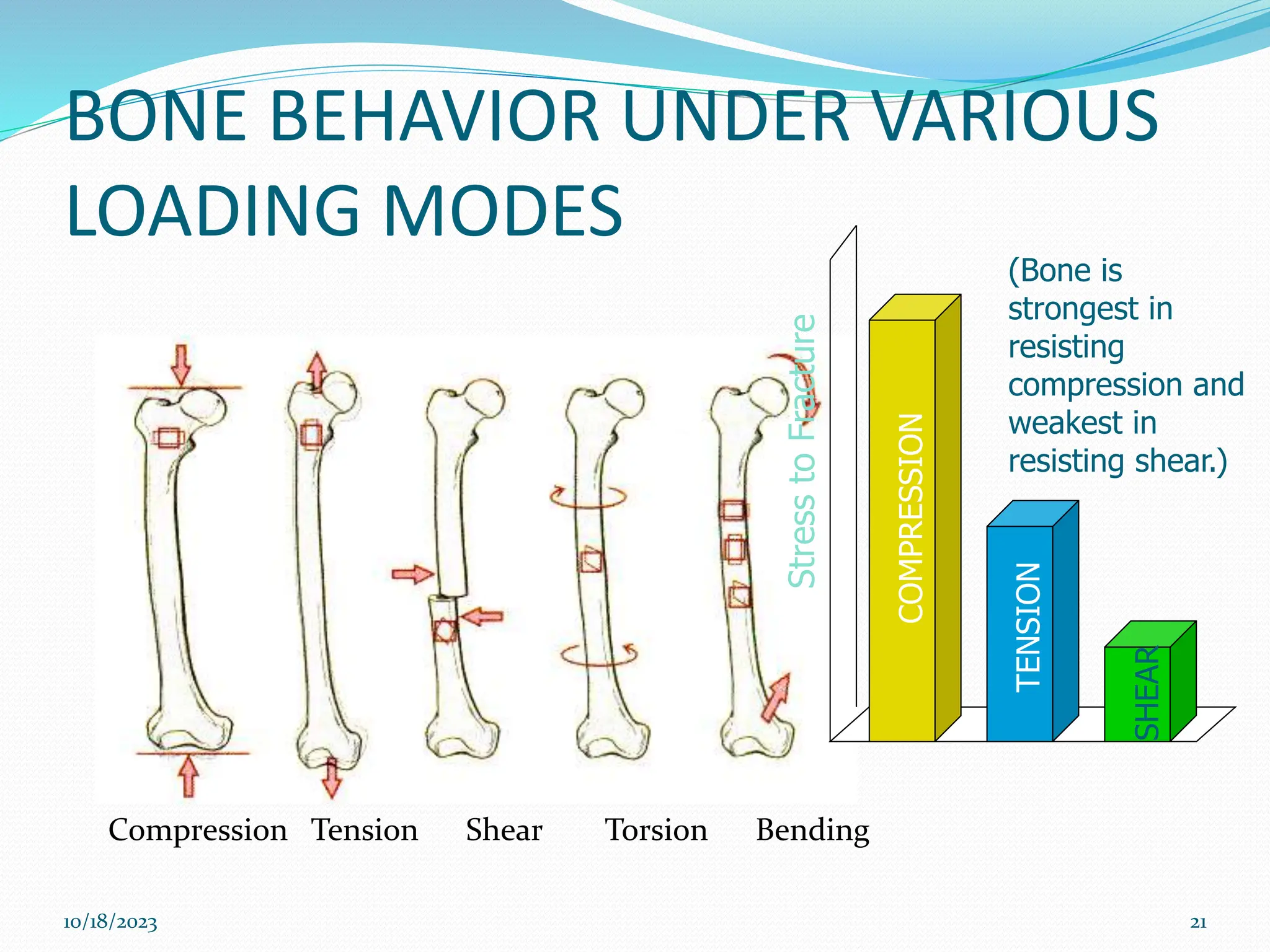 5. faizan biomechanics of bone.pptx
