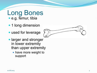 5. faizan biomechanics of bone.pptx