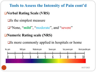 5. pain perception and comfort (2).pptx | Physical Therapy | Wellness