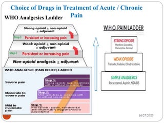5. pain perception and comfort (2).pptx