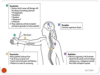 5. pain perception and comfort (2).pptx