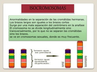 5. Anomalias cromosòmicas estructurales.pptx