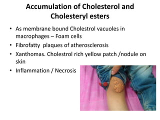 5. intracellular accumulation.pptx