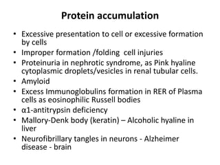 5. intracellular accumulation.pptx