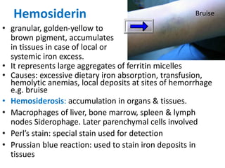 5. intracellular accumulation.pptx