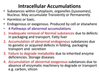 5. intracellular accumulation.pptx