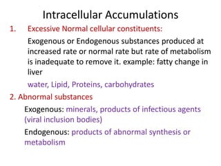 5. intracellular accumulation.pptx