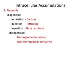 5. intracellular accumulation.pptx