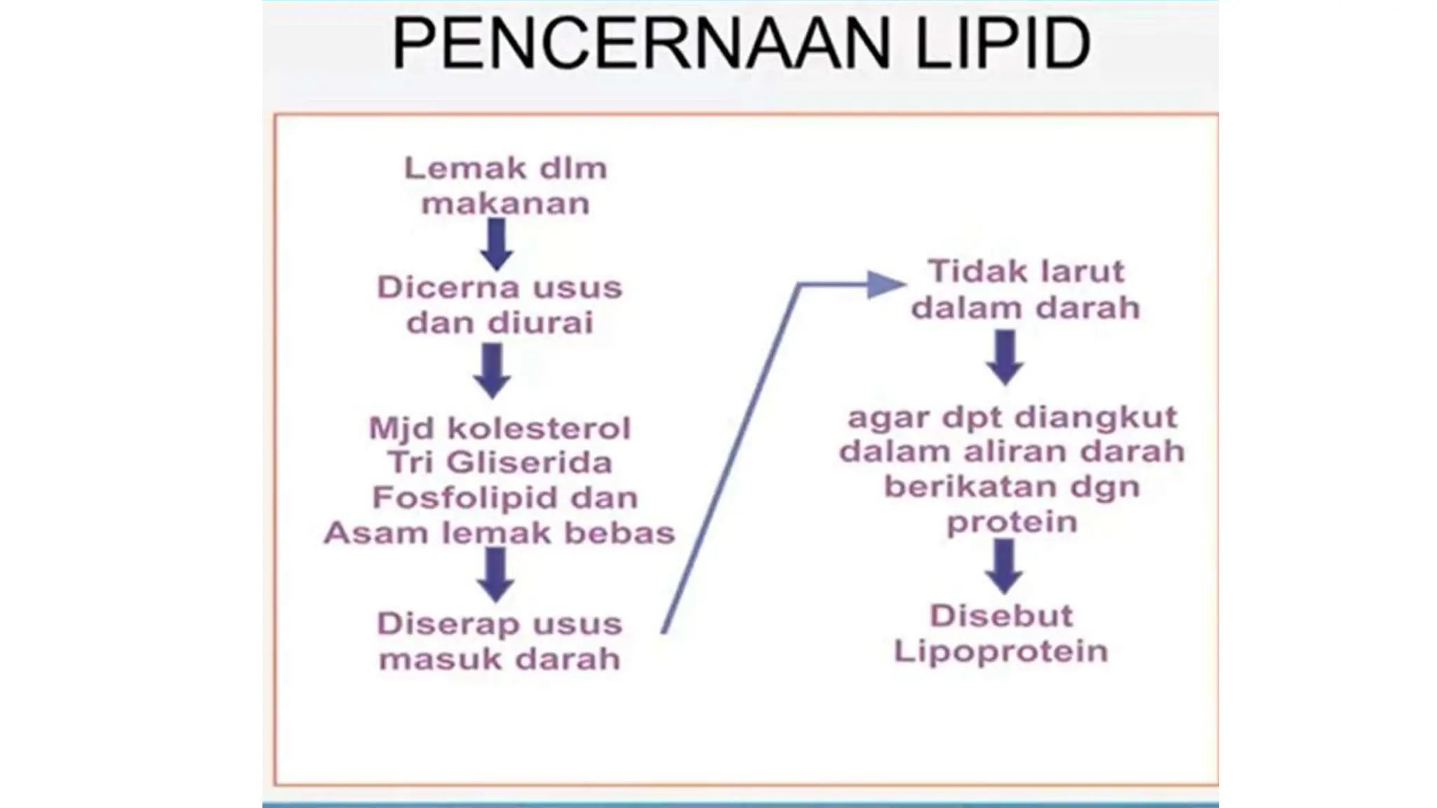 5. Metabolisme LIPID.pptx