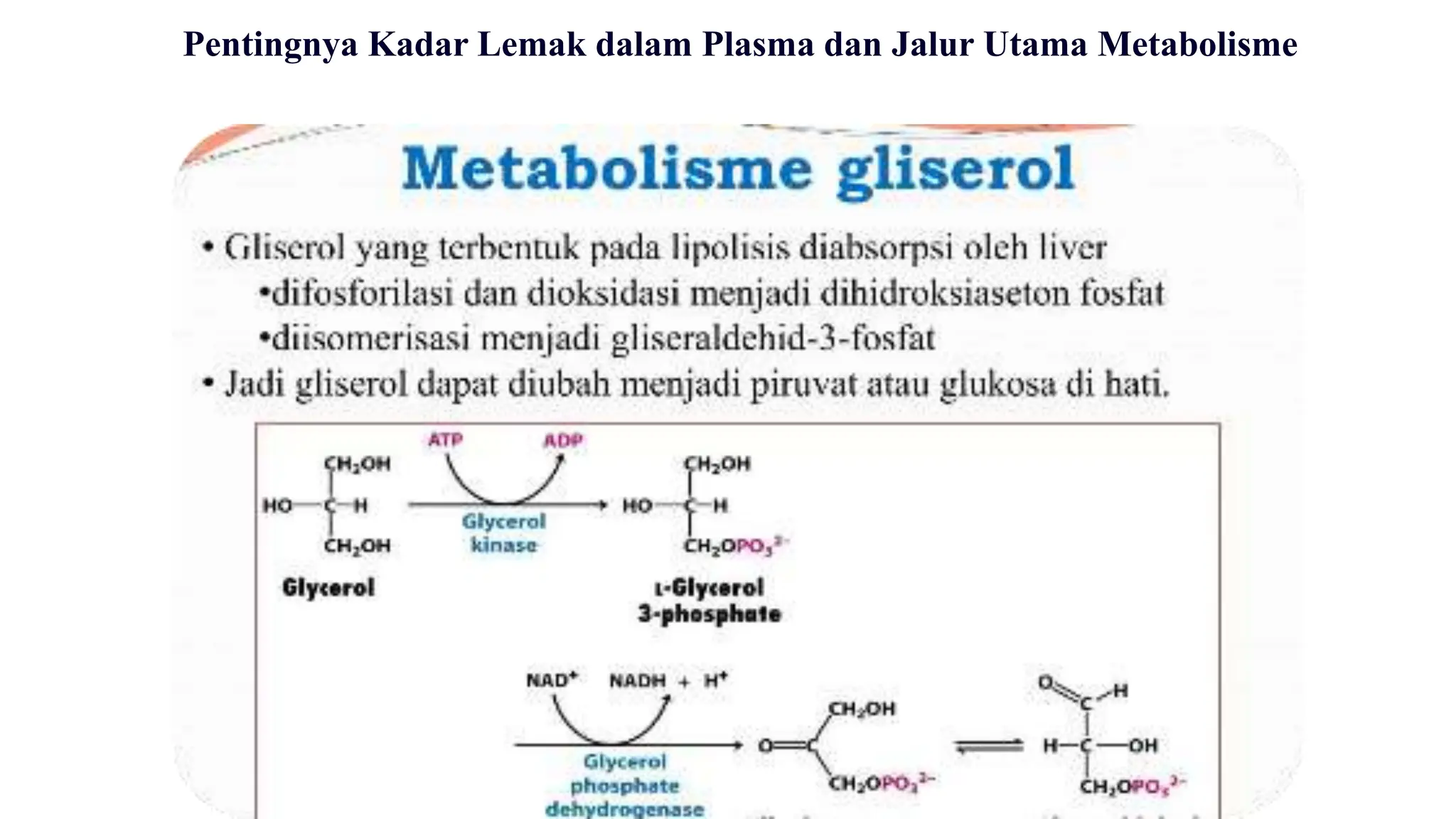 5. Metabolisme LIPID.pptx