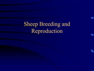 5. Sheep Breeding and Reproduction.ppt
