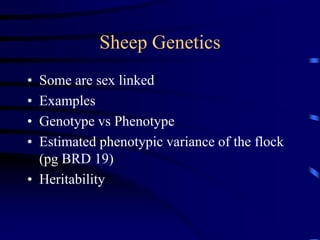 5. Sheep Breeding and Reproduction.ppt