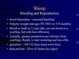 5. Sheep Breeding and Reproduction.ppt
