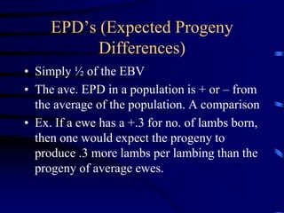 5. Sheep Breeding and Reproduction.ppt