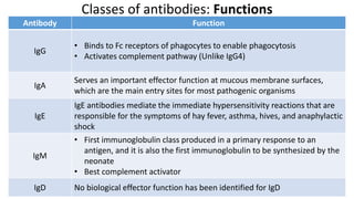 5. B cell effector mechanisms and antibodies - Presentation Martin ...