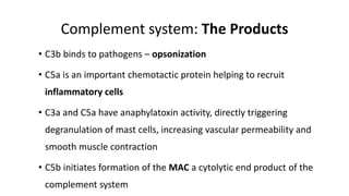 5. B cell effector mechanisms and antibodies - Presentation Martin ...