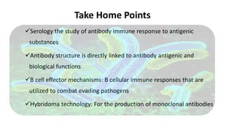 5. B cell effector mechanisms and antibodies - Presentation Martin Denis Francis - Copy.pptx