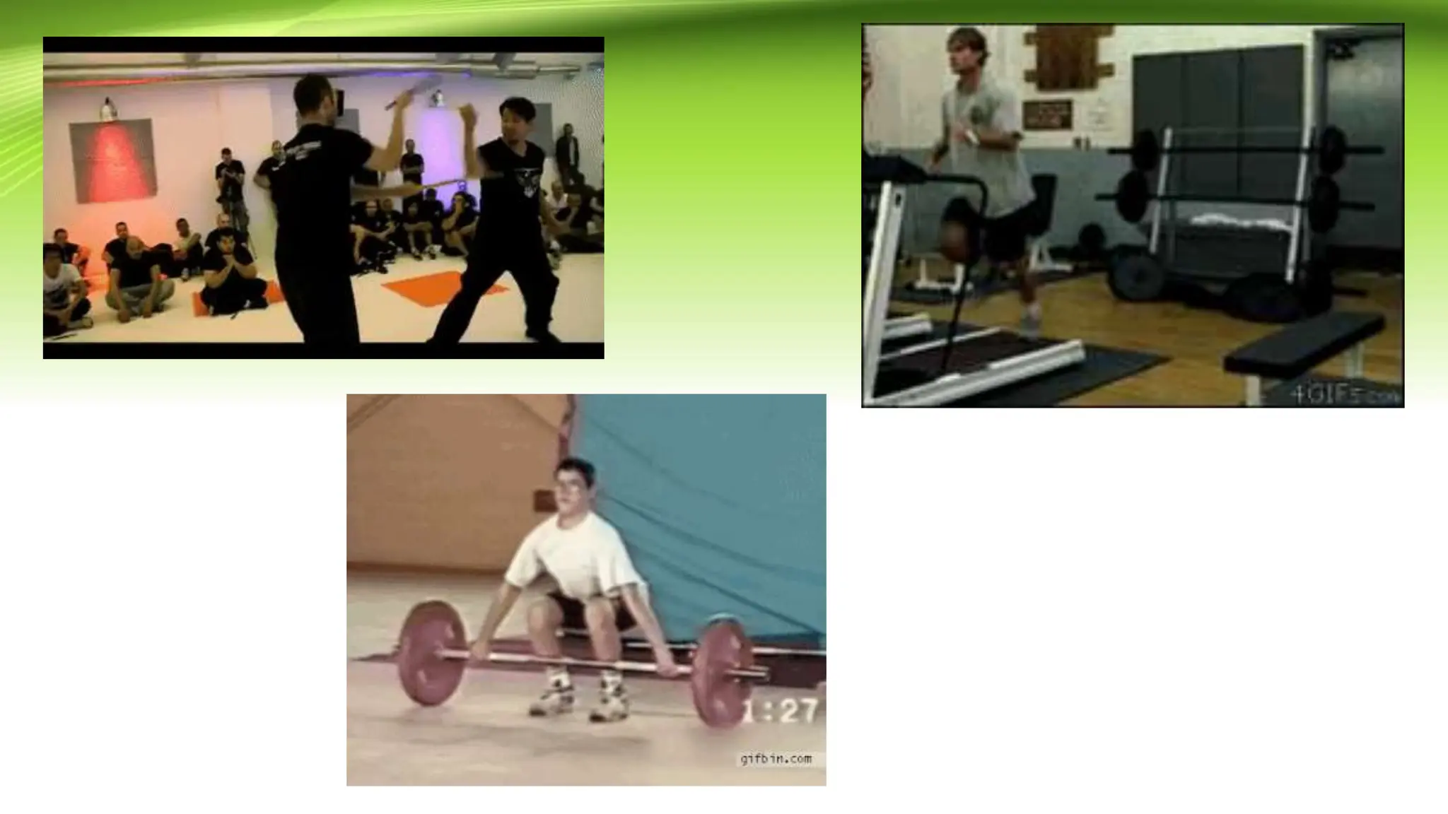 grade 11 physical education 5. energy system.pptx