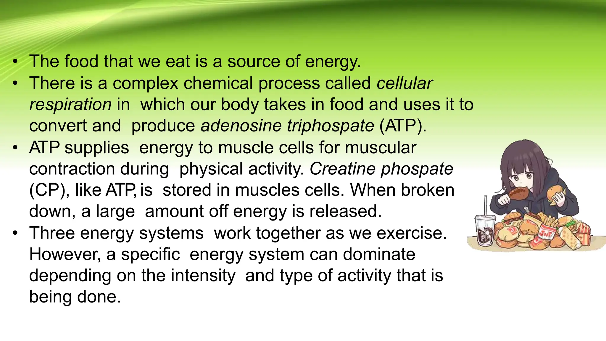grade 11 physical education 5. energy system.pptx