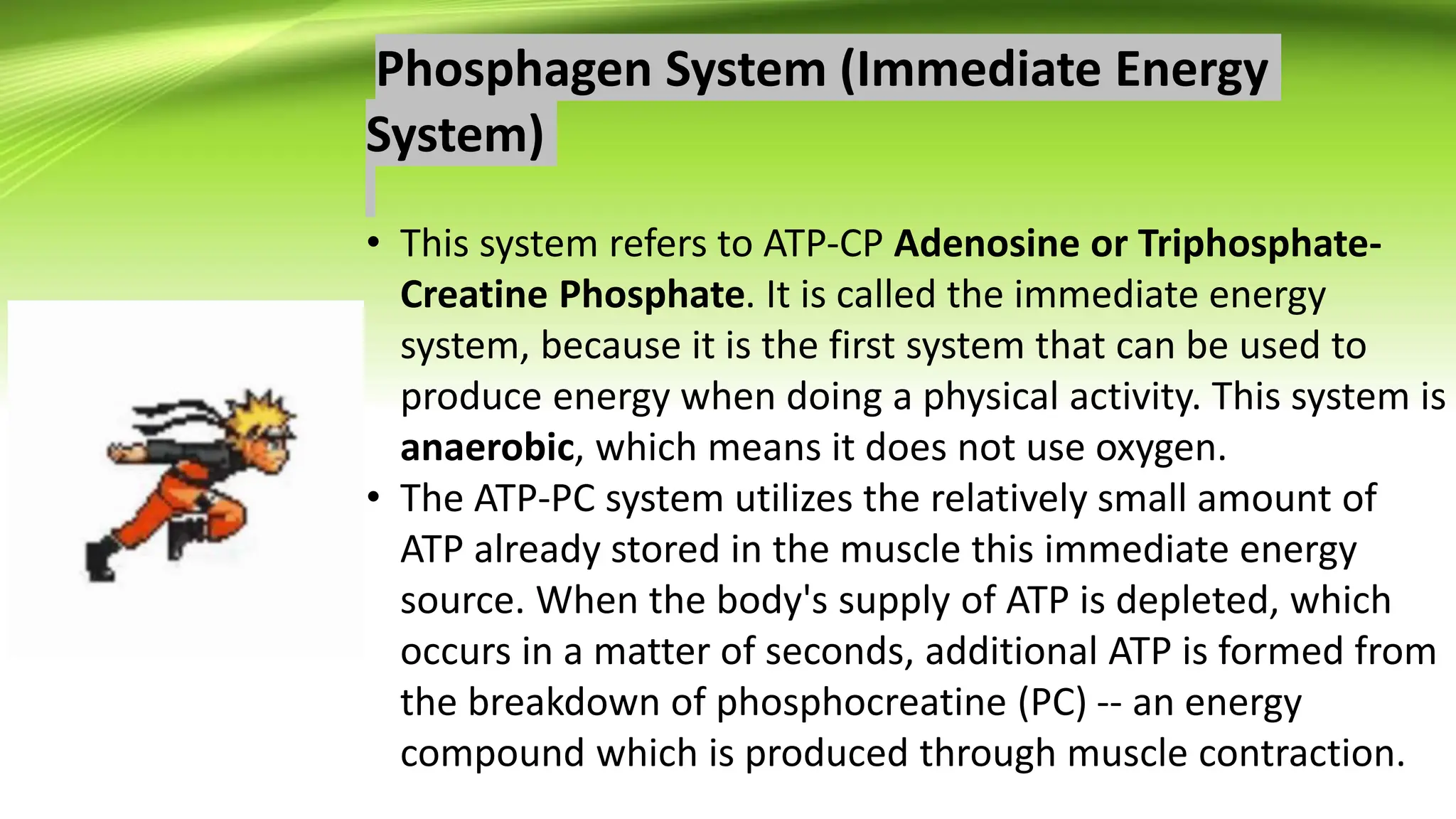 grade 11 physical education 5. energy system.pptx