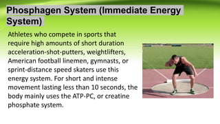 grade 11 physical education 5. energy system.pptx