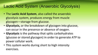 grade 11 physical education 5. energy system.pptx