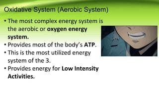 grade 11 physical education 5. energy system.pptx