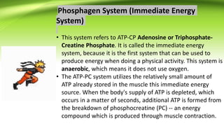 grade 11 physical education 5. energy system.pptx