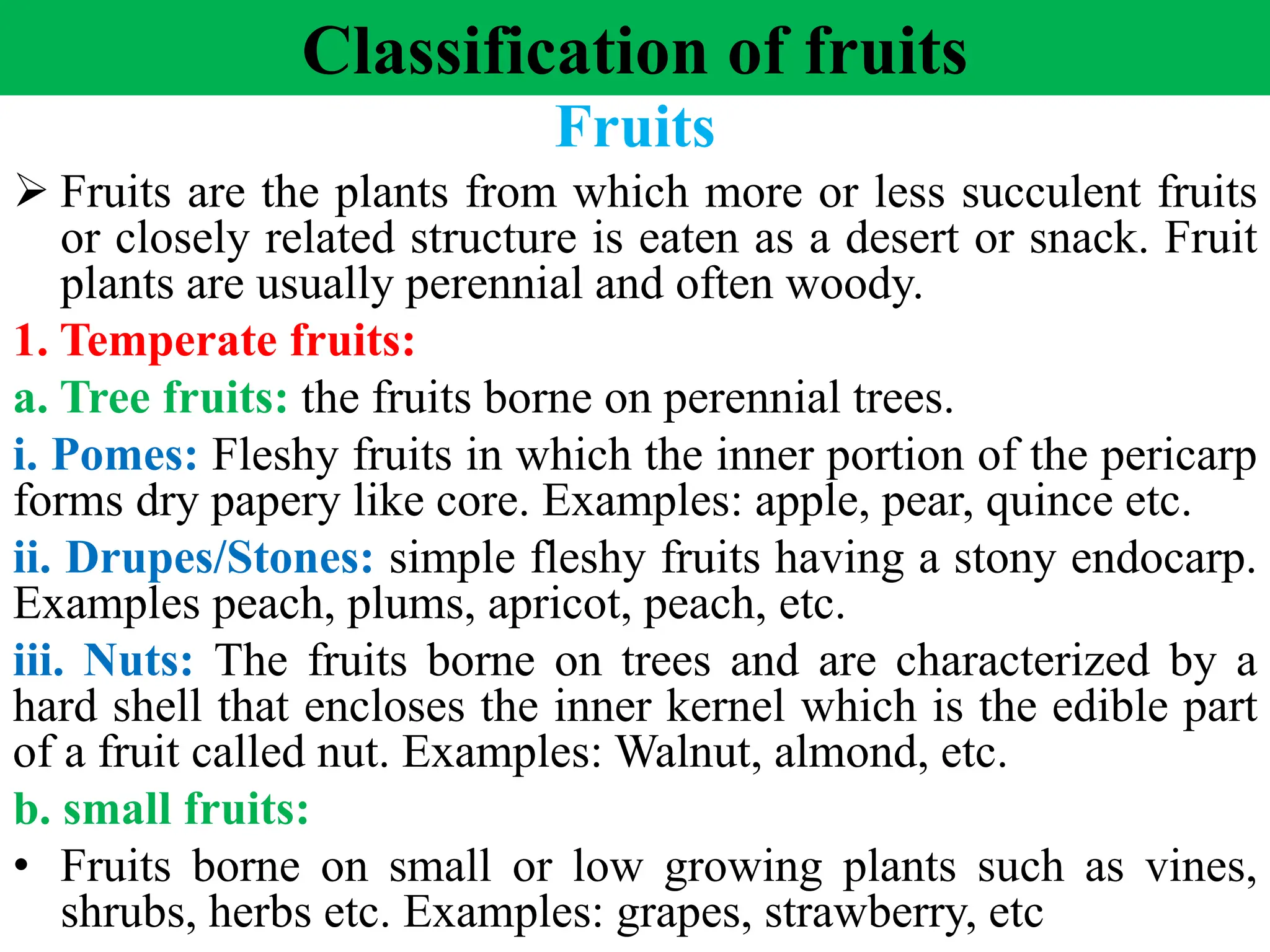 5. Classification of Fruits according to types.pptx