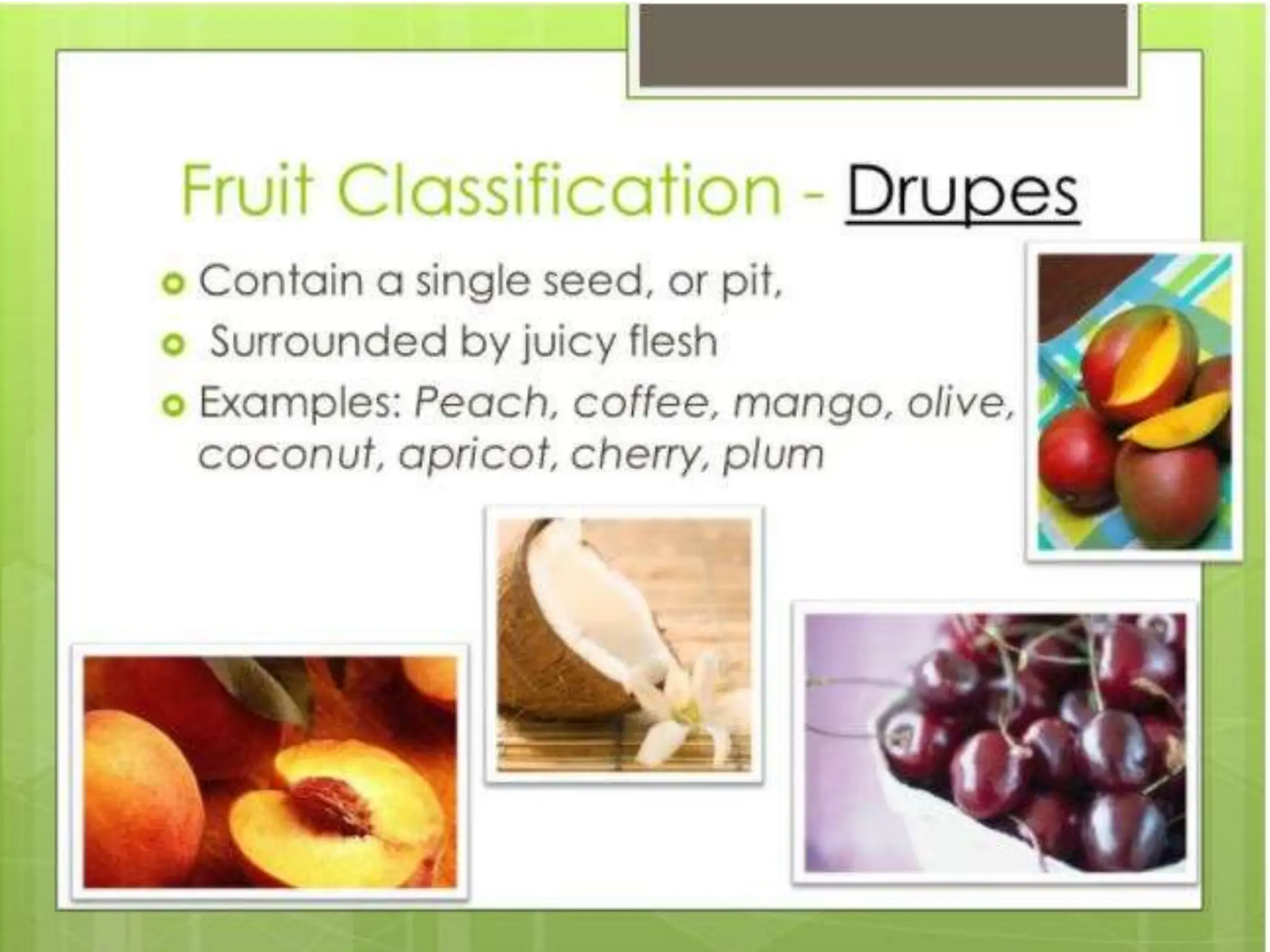 5. Classification of Fruits according to types.pptx