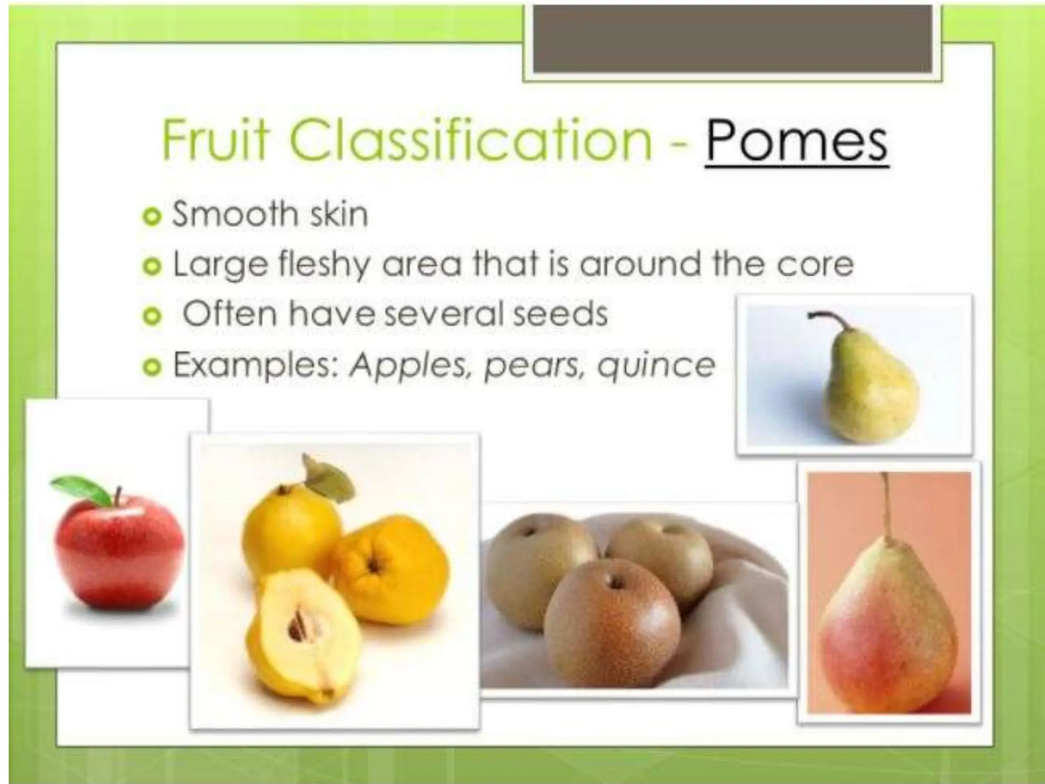 5. Classification of Fruits according to types.pptx