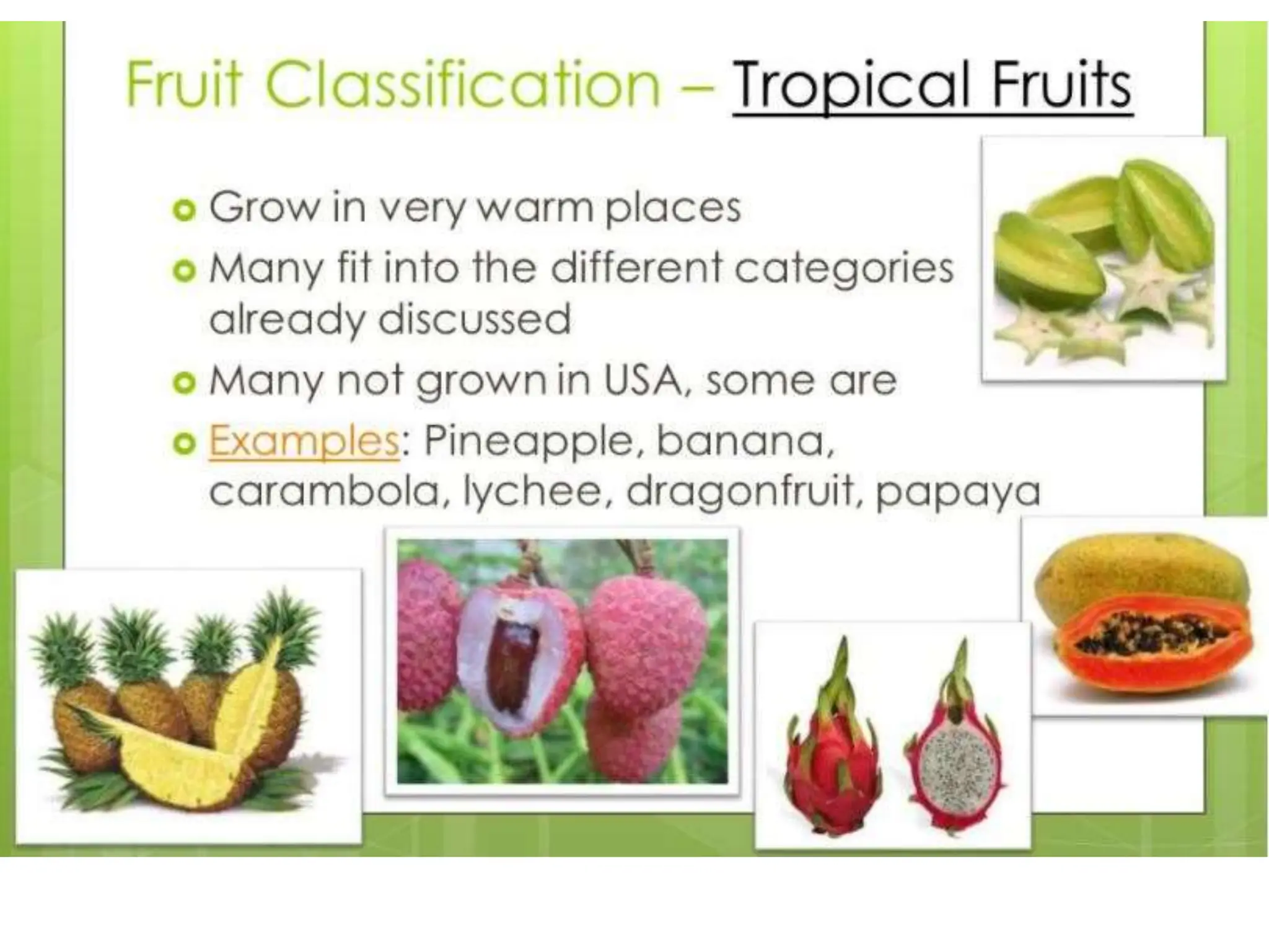 5. Classification of Fruits according to types.pptx