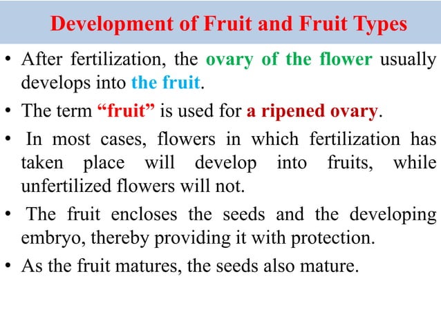 5. Classification of Fruits according to types.pptx