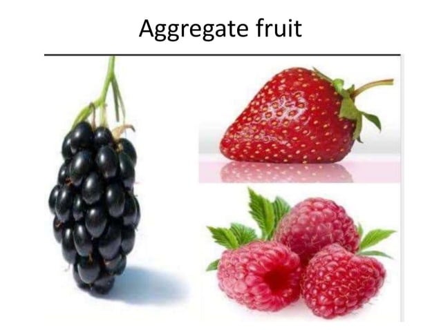 5. Classification of Fruits according to types.pptx