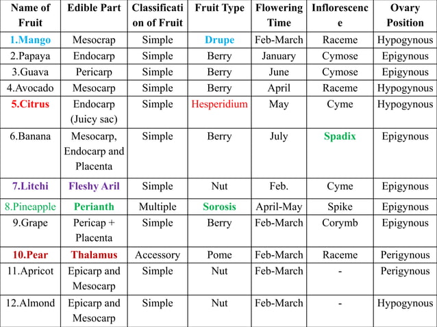5. Classification of Fruits according to types.pptx