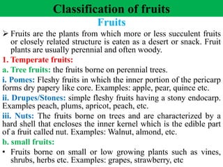 5. Classification of Fruits according to types.pptx