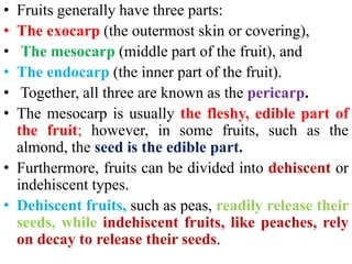 5. Classification of Fruits according to types.pptx