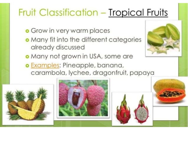 5. Classification of Fruits according to types.pptx