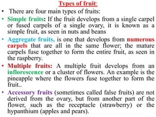 5. Classification of Fruits according to types.pptx