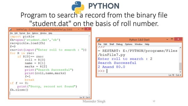51 Binary File Handlingpdf Programming Languages Computing