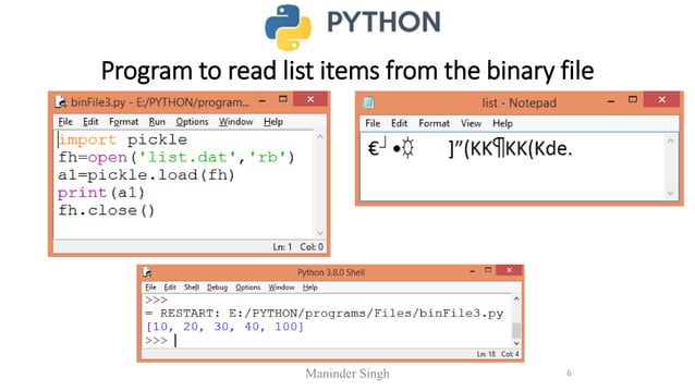 51 Binary File Handlingpdf
