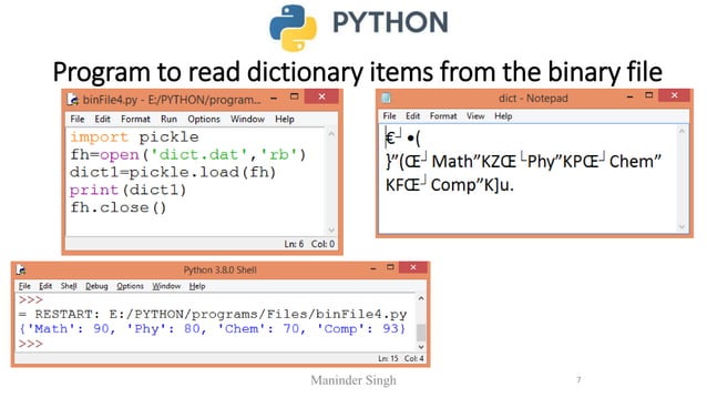 51 Binary File Handlingpdf Programming Languages Computing
