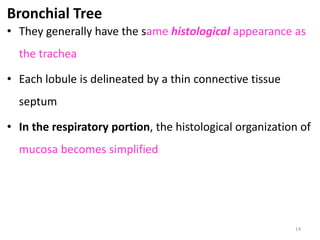 5. Histology of Respiratory System.pptx
