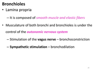 5. Histology of Respiratory System.pptx