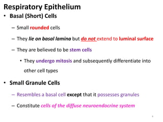 5. Histology of Respiratory System.pptx