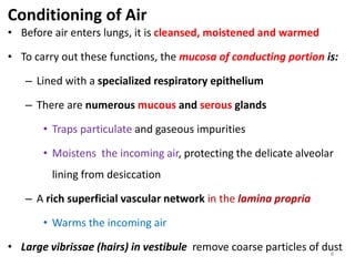 5. Histology of Respiratory System.pptx