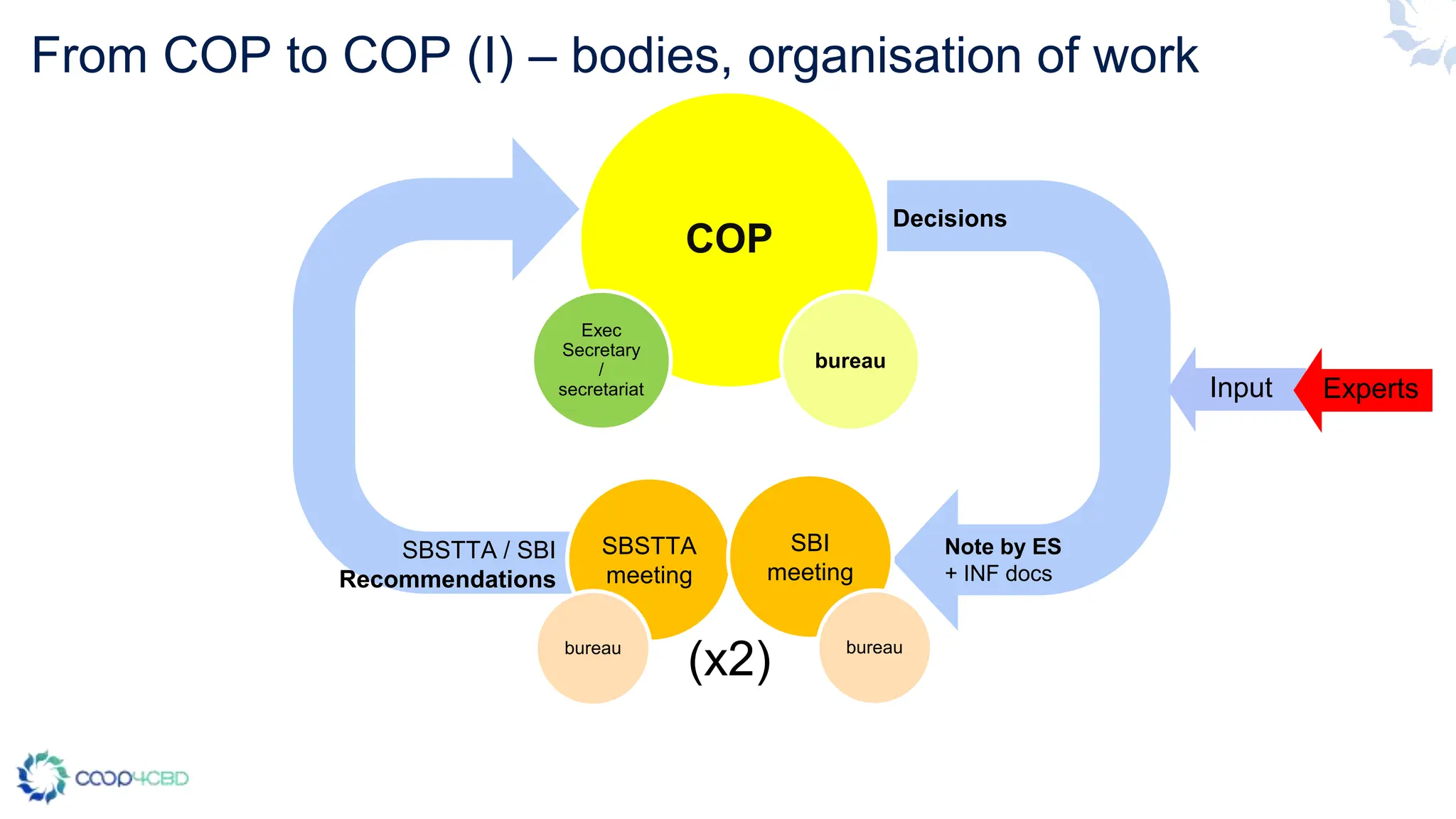 5. CBD decision-making process from COP to COP - Hendrik Segers.pptx