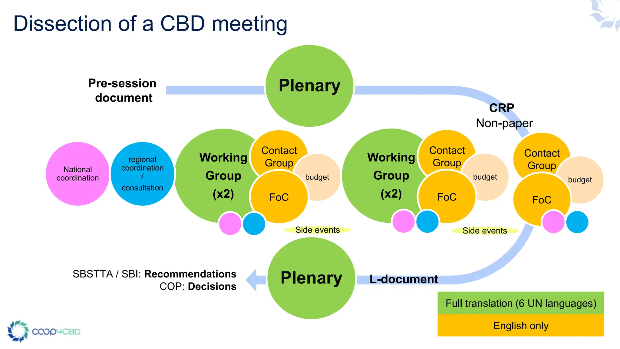 5. CBD decision-making process from COP to COP - Hendrik Segers.pptx
